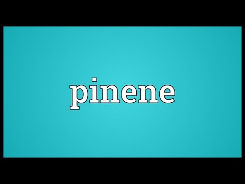 Pinene Meaning