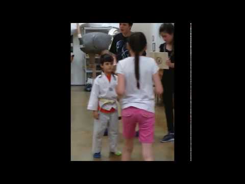 daniel martial arts