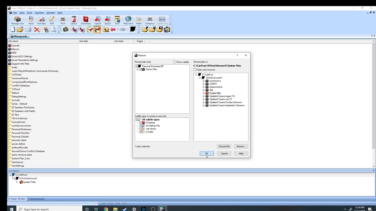 CaseCAT Dictionary Backup Demonstration