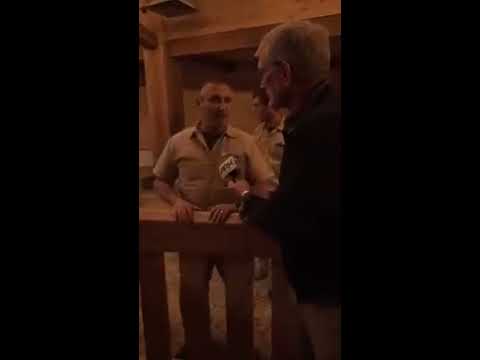 Meet Live Animals Inside the Ark Encounter