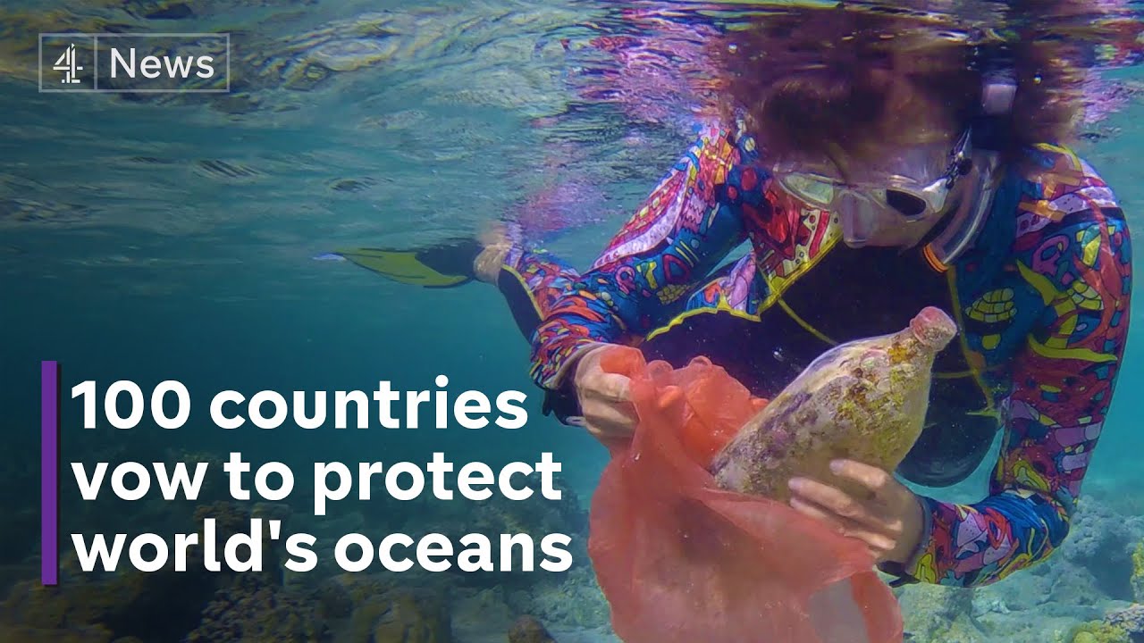 UN agrees major treaty to protect Earth’s oceans