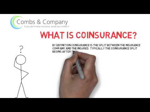 What is coinsurance?