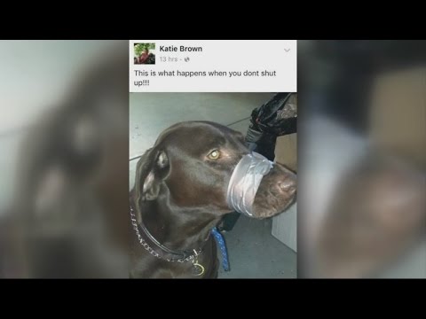 Facebook post shows dog's muzzle taped shut