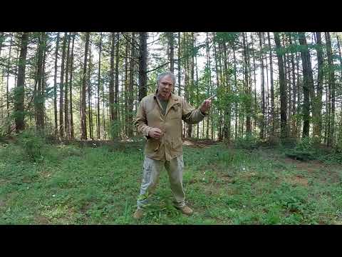 Another Great One from Paul Harrell : Shooting In Stressful Situations ...