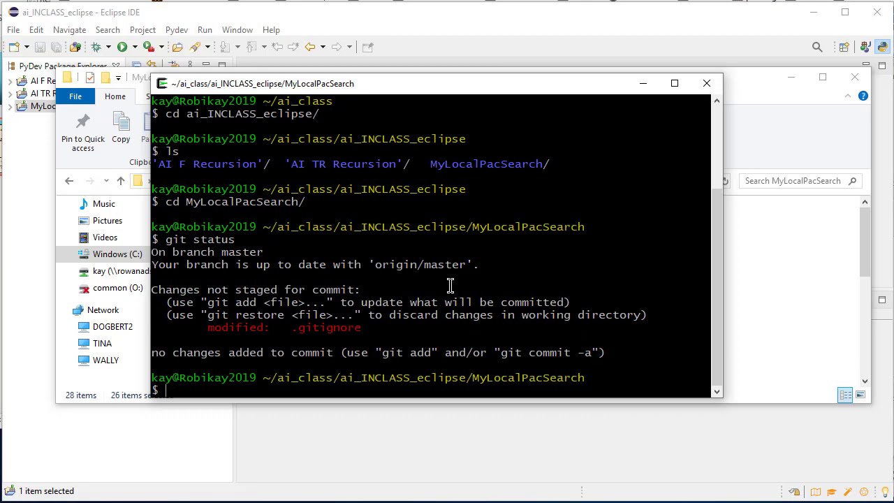Eclipse with Python: Setting up a new project, Command line arguments, debugging