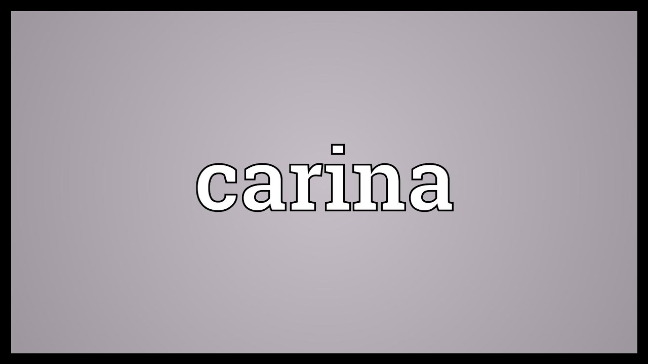 Carina Meaning