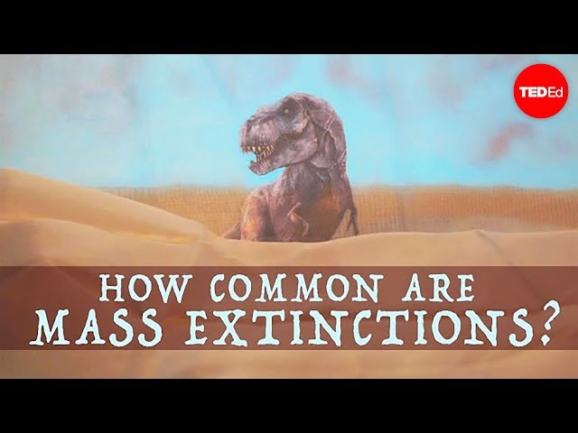 Understanding Mass Extinctions: Past Events and Future Implications ...