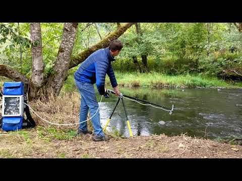 ANDe™: High‐Throughput eDNA Sampling in a Fully Integrated System ...