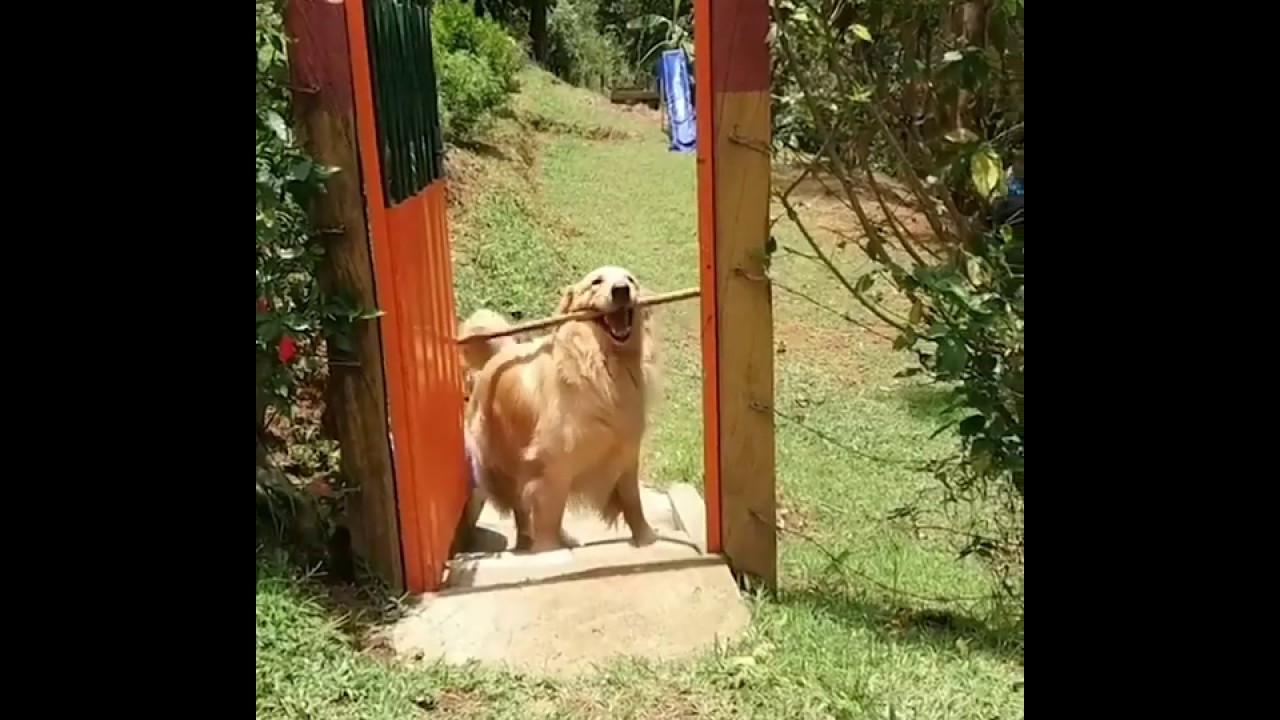 Oh no I'm stuck #9gag