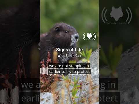 Defender Radio - Signs of Life with Sarah Cox #shorts