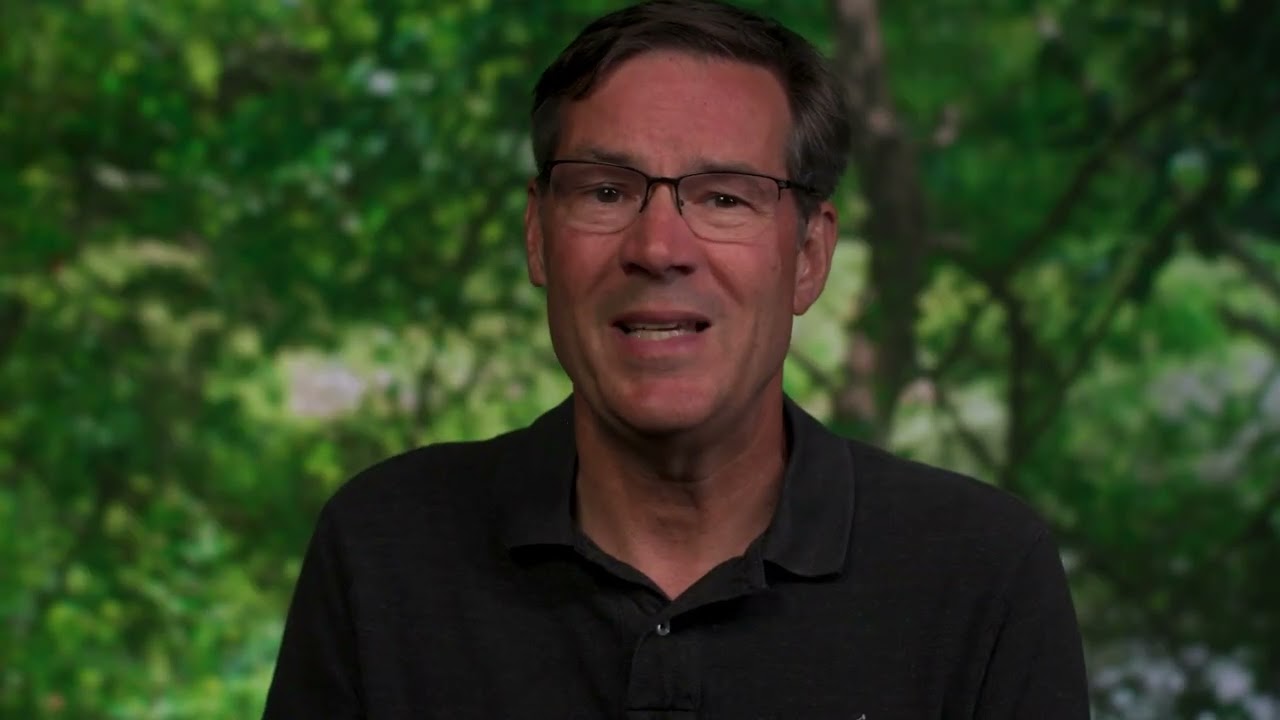 ENV101 Urban Forests video 2: Ecosystem Services 8 13 24