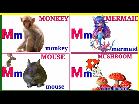 words that start with Mm|words that start with the letter Mm for toddlers| kids learning videos