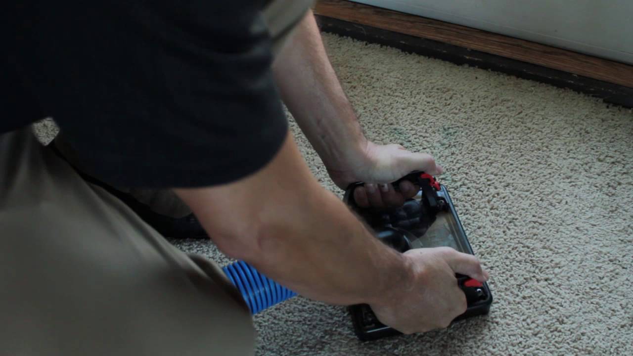 Pet Odor Removal | Mark It Clean 562-726-2929