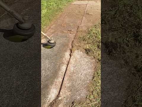 What trimmer line do I use? #satisfying #asmr #lawns #lawncare #tools #home #garden #australia #wow