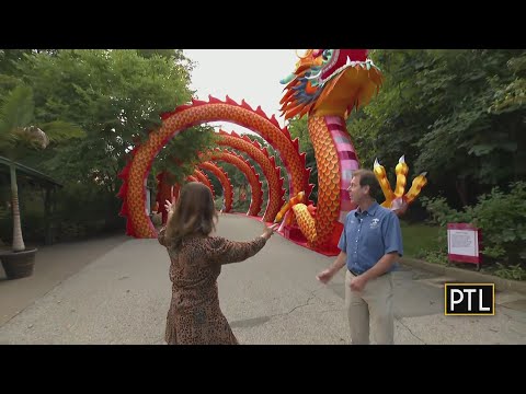 Asian Lantern Festival back for a second year at the Pittsburgh Zoo