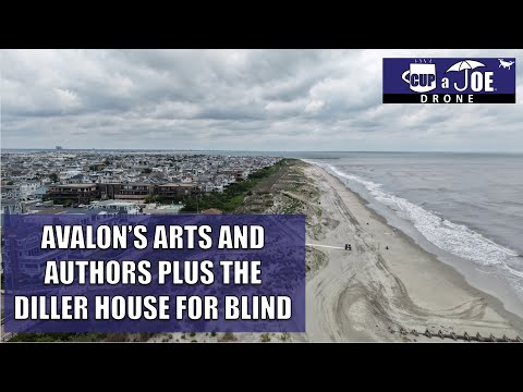 Avalon Arts & Authors Event PLUS The Diller House for the Blind | 4K Drone Footage