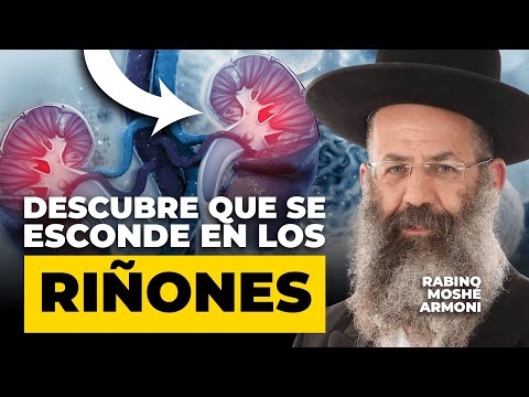“God searches the kidneys” Secrets of His HEALING that are hidden from us
