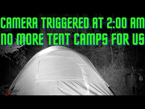 Eerie Upright Beast Visits Tent Camp At Night