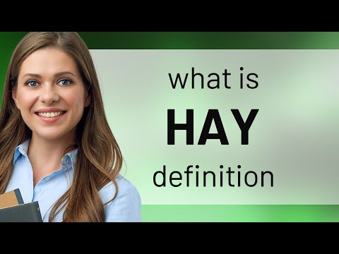 Hay • what is HAY meaning