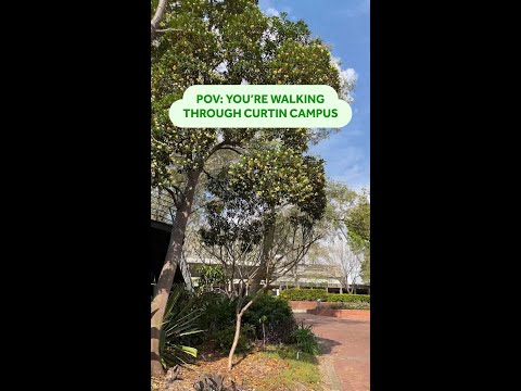 POV: You're walking through campus