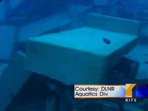 State Creates Artificial Reef Off Kahala