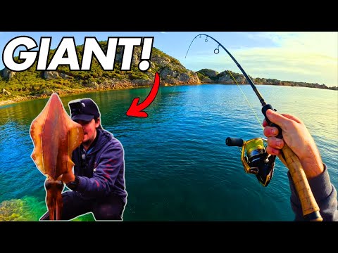 SOUTHERN CALAMARI CATCH & COOK!! Squid fishing Tasmania