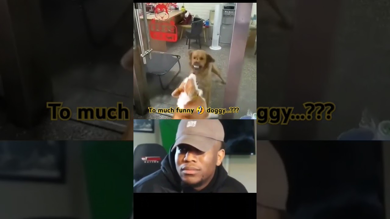Funny memes doggy style 😂😂😂...??? #meme #funny #doggie #shortvideo
