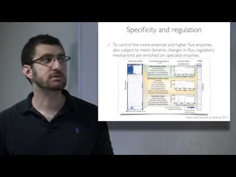 Guest Lecture by Aarash Bordbar
