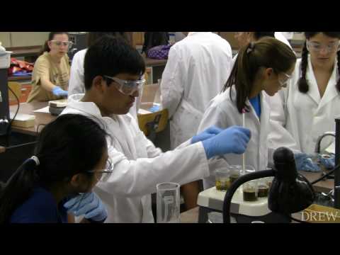 NJ's brightest teens study science at Drew