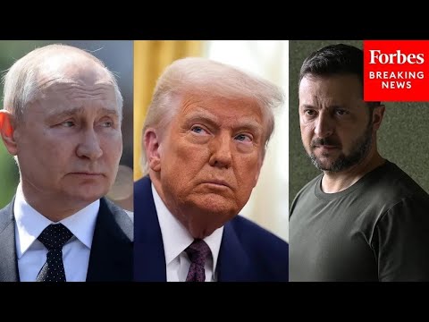 Here's Why Putin Could 'Hand Trump A Win' And Agree To Ceasefire Deal With Ukraine: Analyst