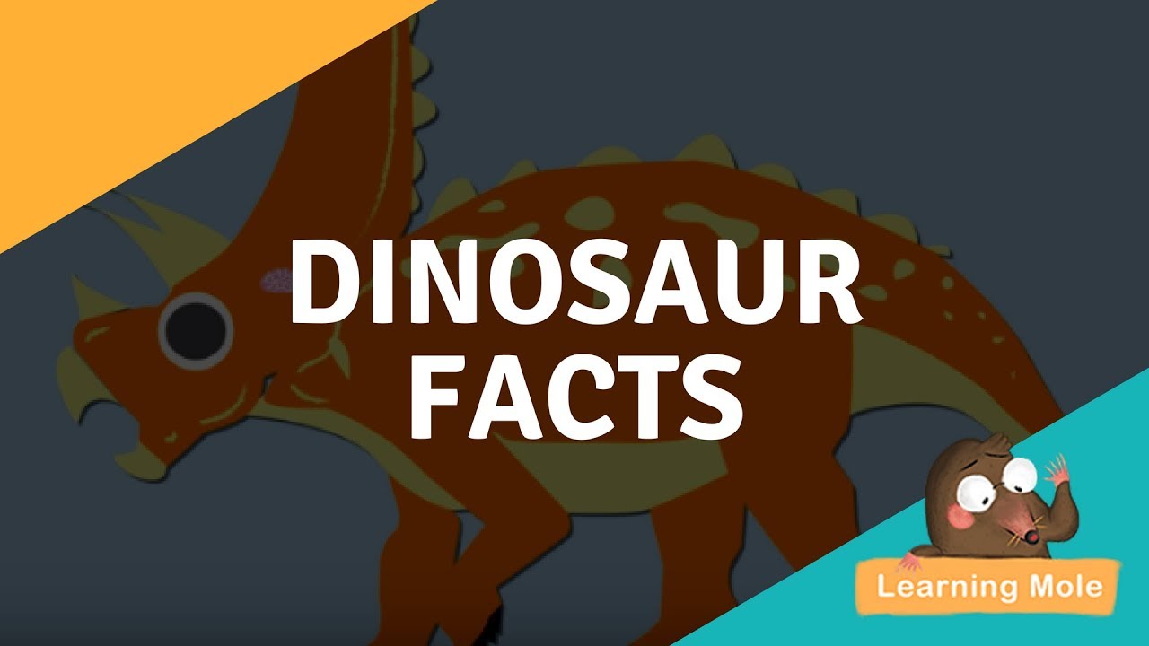 What Do You Know About Dinosaurs? | Dinosaur Facts for Kids| Dinosaurs for Kids | Dinosaur Facts