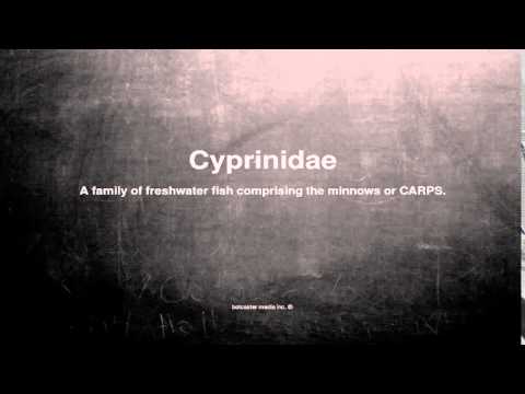 Medical vocabulary: What does Cyprinidae mean