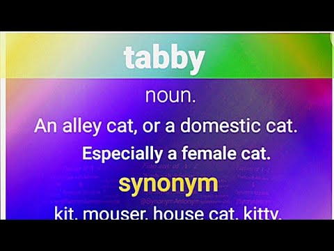 what is tabby | meaning of tabby #what_is_tabby#meaning_of_tabby@SynonymAntonym