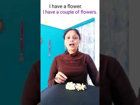 use of a couple of a few many/quantifiers/ What does a couple a few mean? @EnglishwithShivkanya