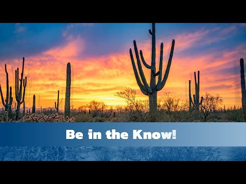 Registration open for AO 2023 Annual Meeting!
