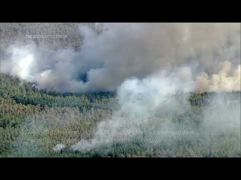 Firefighters work to contain New Jersey forest fire