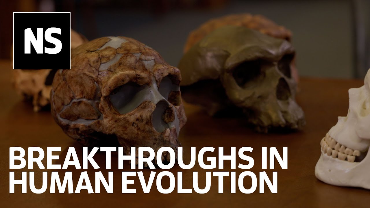 Tracing our long-lost lineages using proteomics and ancient DNA