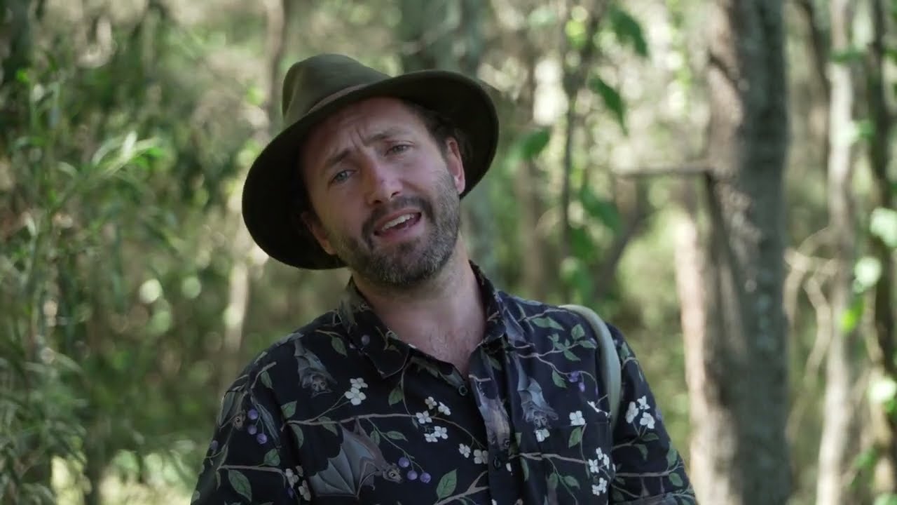 Living with Flying Foxes | Fairfield City Council