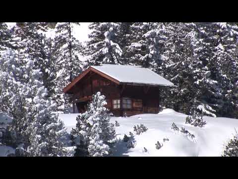 Niederau | Austria | Crystal Ski Holidays