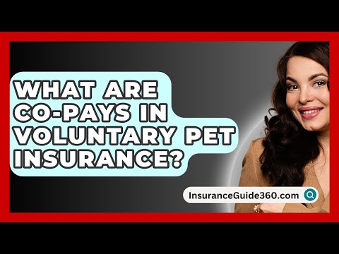 What Are Co-pays In Voluntary Pet Insurance? - InsuranceGuide360.com