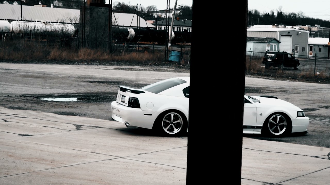 White Mustang Mach1| 4k