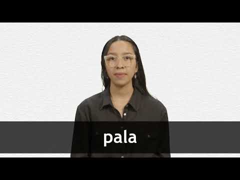 English Translation of “PALA” | Collins Spanish-English Dictionary