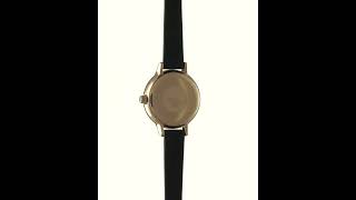 Emporio Armani AR11514 - Cleo Watch • Watchard.com