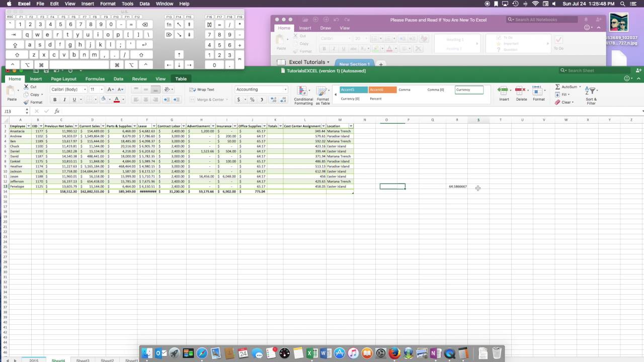 Lesson One: Excel 2016 (Mac, iMac)
