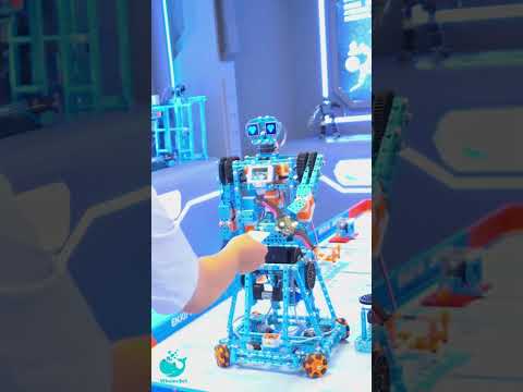 WhalesBot Wobot Series - Build & Code Your Own Card-Distributing Robot!