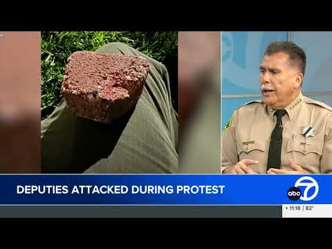 Sheriff Robert Luna ABC7 Interview on Protest Impact