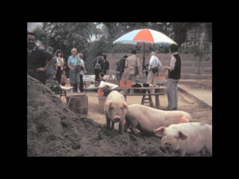China 1987 archive footage