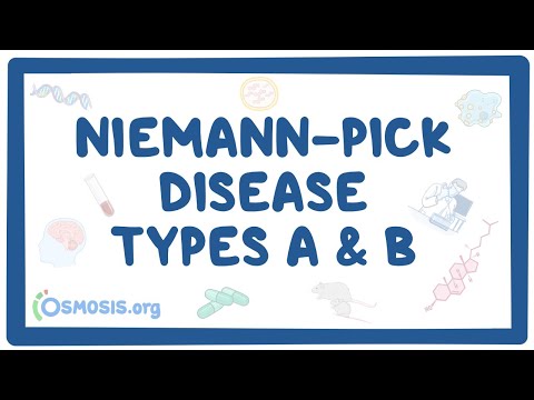 Niemann-Pick disease Types A and B - causes, symptoms, diagnosis, treatment, pathology