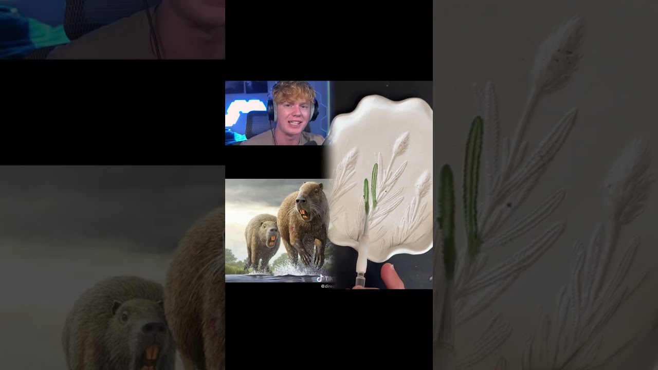 Animals That Used To Be Giants! 🦖