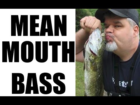 MEAN MOUTH BASS